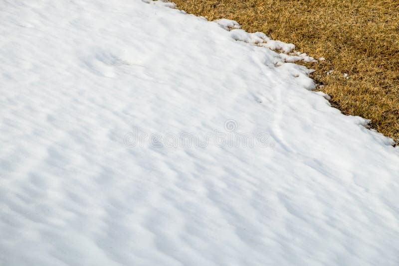 Fluffy Snow Texture on Hiking Trail Stock Image - Image of field ...