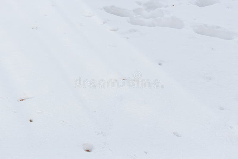 Snow Texture, Winter Scene stock image. Image of abstract - 212830841