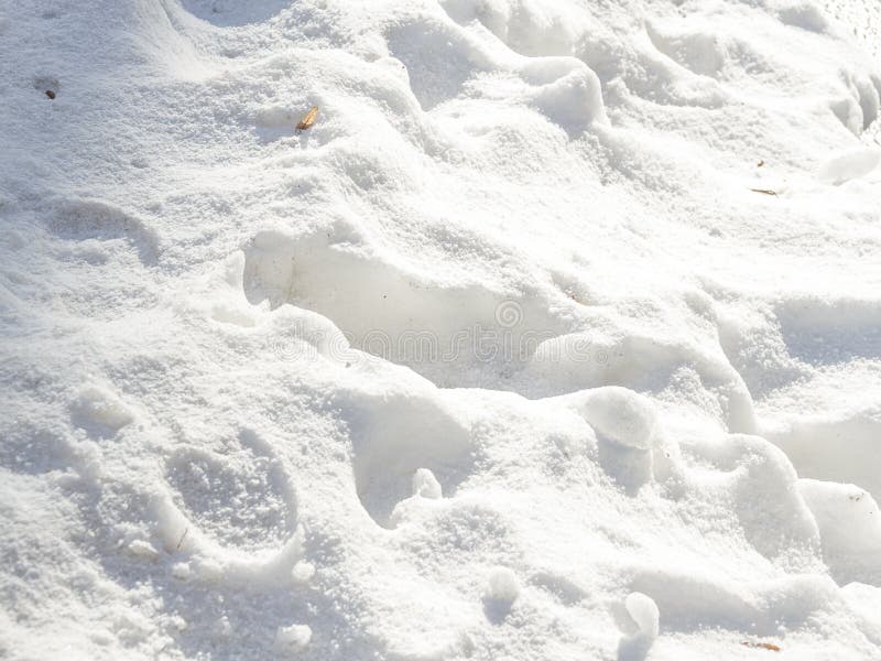 Snow Texture, Winter Scene stock image. Image of abstract - 212830841