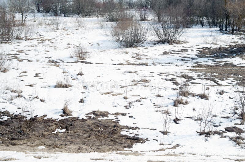 Snow thaw landscape stock image. Image of rural, late - 83752911
