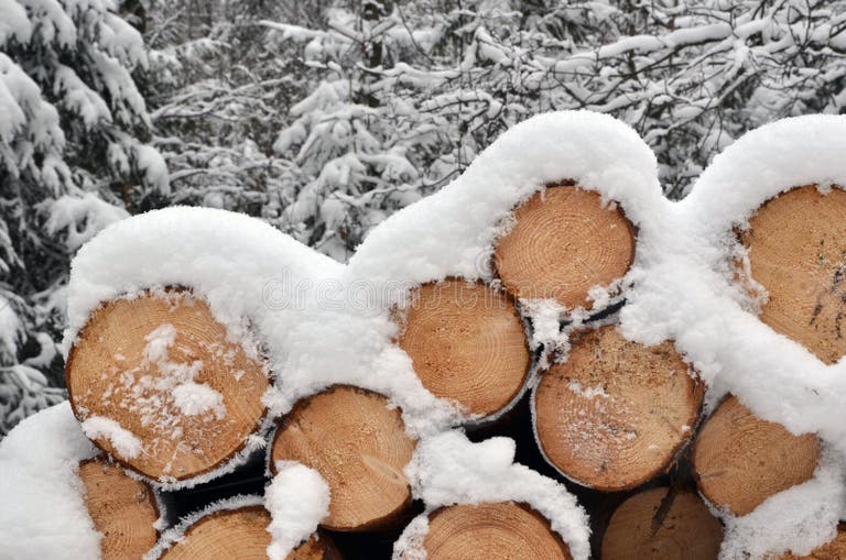 Snow on timber stack stock image. Image of environment - 28845033