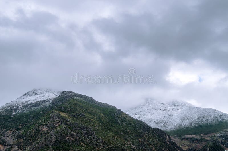 Snow on top of mountain stock image. Image of forest - 130084699