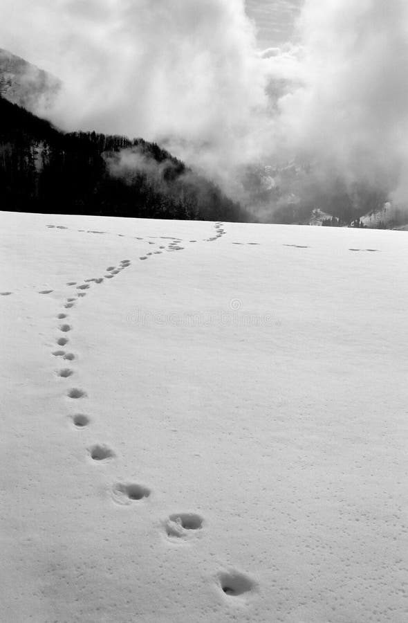 Snow traces stock image. Image of detail, seasonal, pattern - 4541569