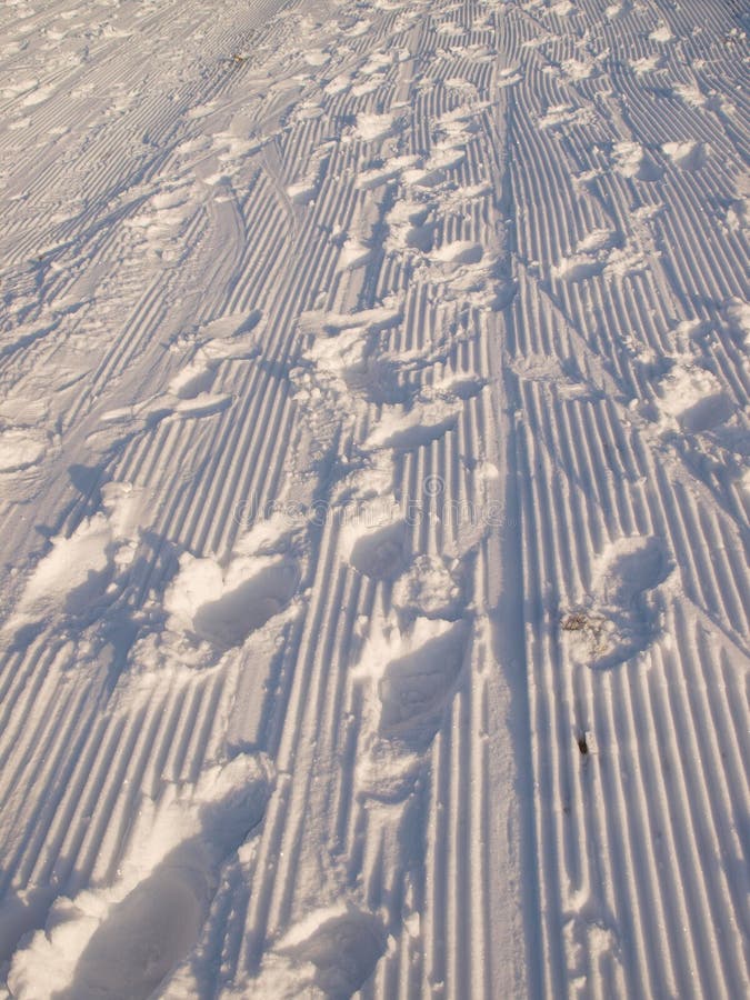 Snow track stock photo. Image of hand, season, child - 28558028