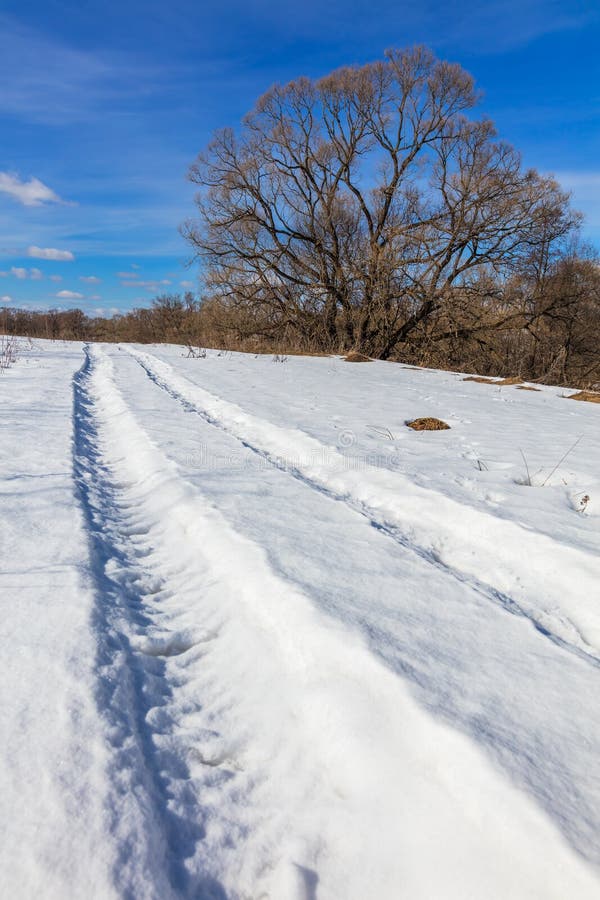 Snow track in the field stock image. Image of forest - 69079013