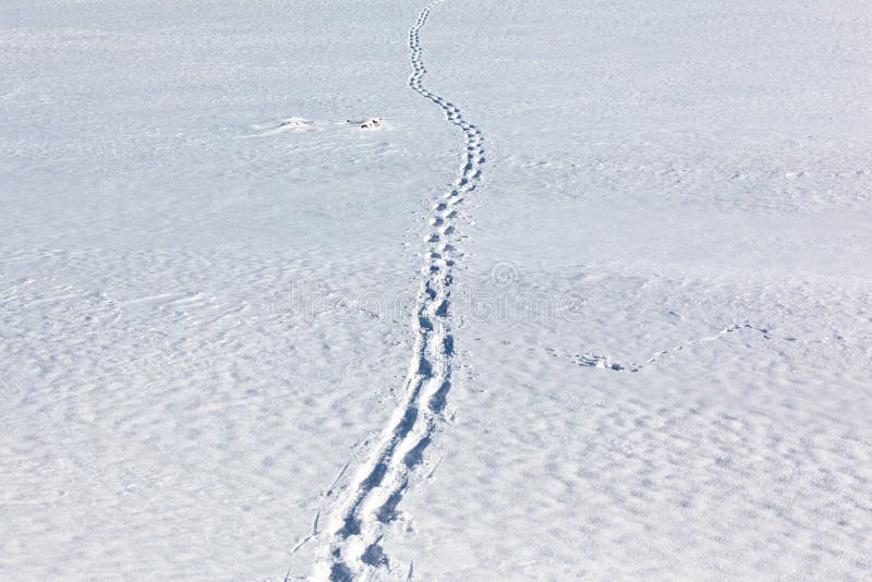 Snow track stock photo. Image of climate, covered, away - 40630288