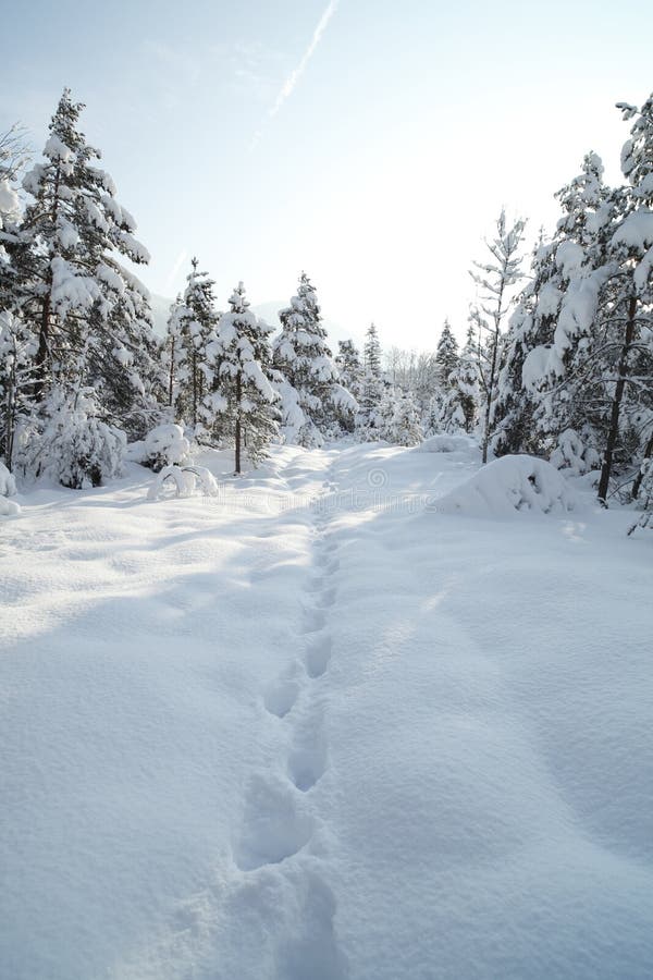 Winter landscape stock image. Image of beauty, blue, azure - 18319239