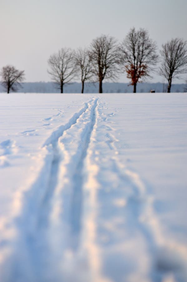 Snow trail stock photo. Image of tree, cross, groove - 27004108