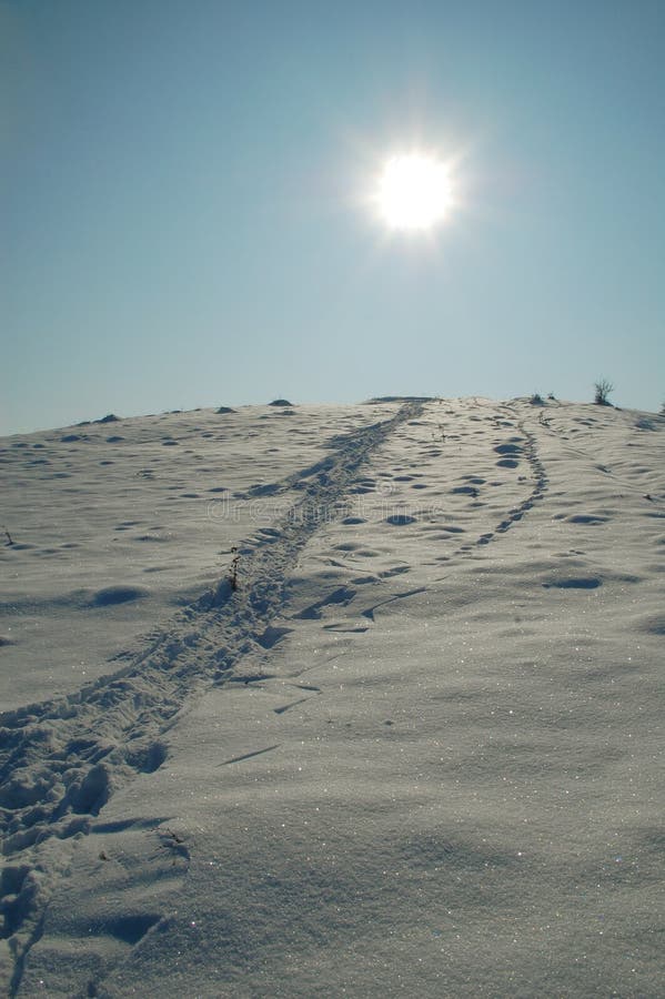Snow trail to sun stock image. Image of landscape, outdoor - 12758793
