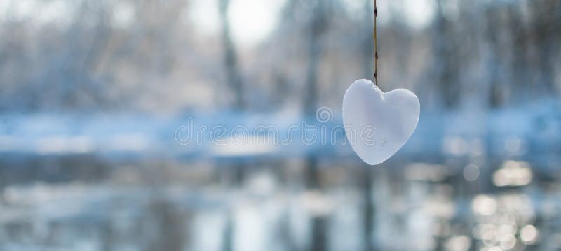 Snow on a Tree Branch in a Heart Shape Stock Image - Image of ...