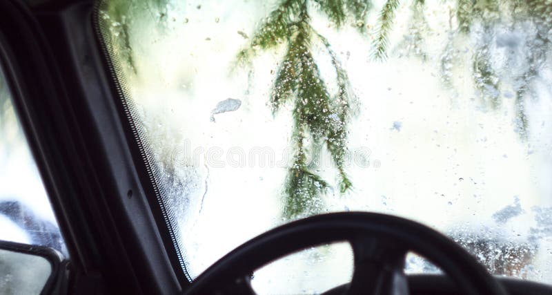 Snow and Tree Branches Outside the Car Window Stock Image - Image of ...