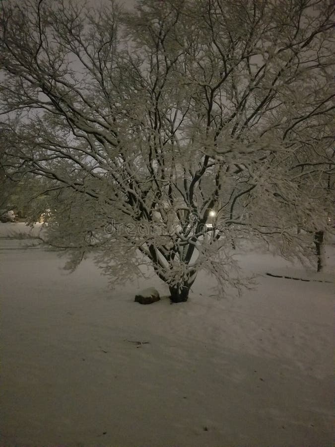 Snow tree front yard house stock image. Image of snow - 144303453