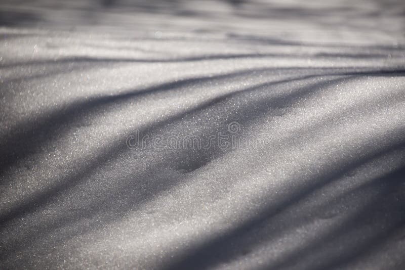 Snow with Tree Shadow Patterns Stock Image - Image of calming, snowy ...