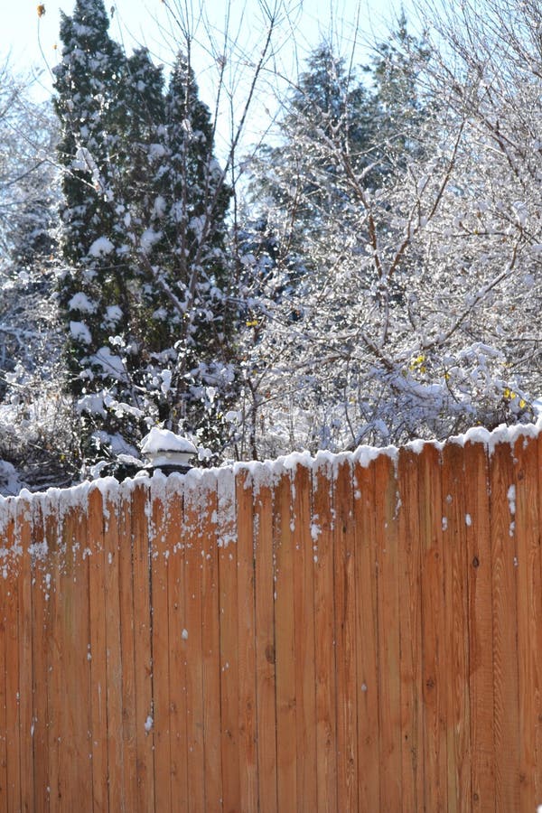 Snow tree stock image. Image of fence, nature, tree, morning - 70657161