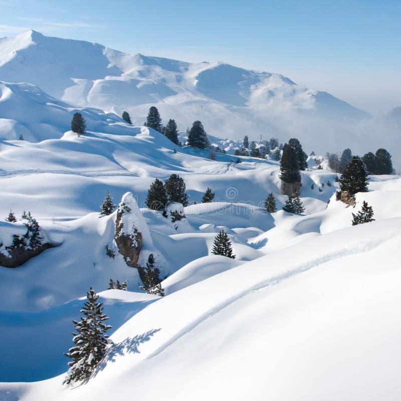 Snow and trees. the Alps stock image. Image of tree, cold - 16766403