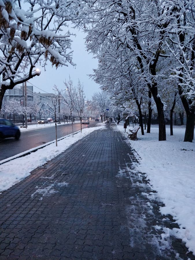 Winter is coming stock image. Image of snow, coming - 132850823