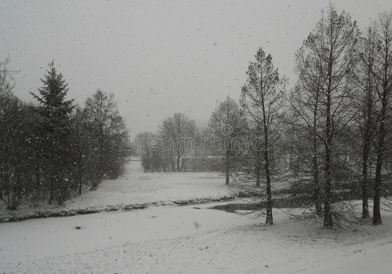 Snow & Trees & River, Snowing in the Winter Stock Image - Image of ...