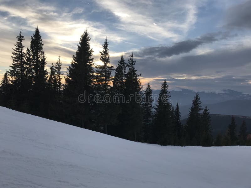 Snow trees sky stock photo. Image of trees, vibes, winter - 103740544