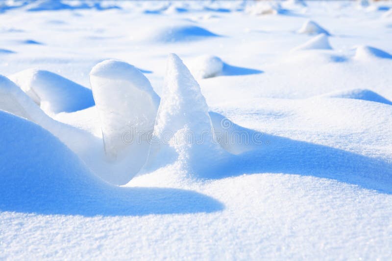 Snow Under Sun stock image. Image of nature, snow, meadow - 65805067