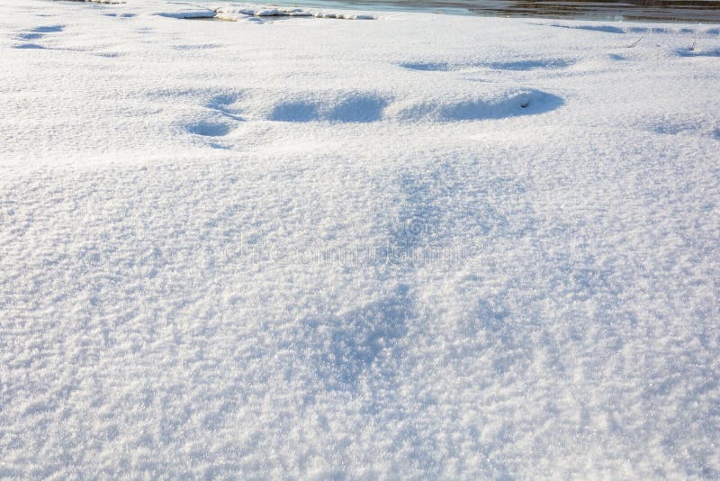Awakening of Nature in Early Spring Stock Image - Image of river, bank ...