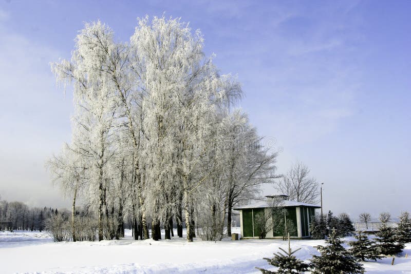 Snow View stock image. Image of cold, snow, landscape - 10241251