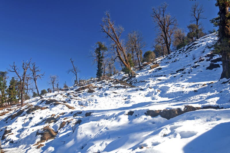 Snow view in mountains stock image. Image of trees, display - 55979751