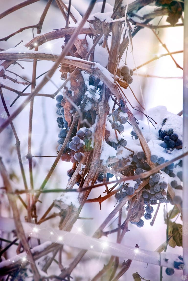 Snow Farming Stock Illustrations – 6,457 Snow Farming Stock ...