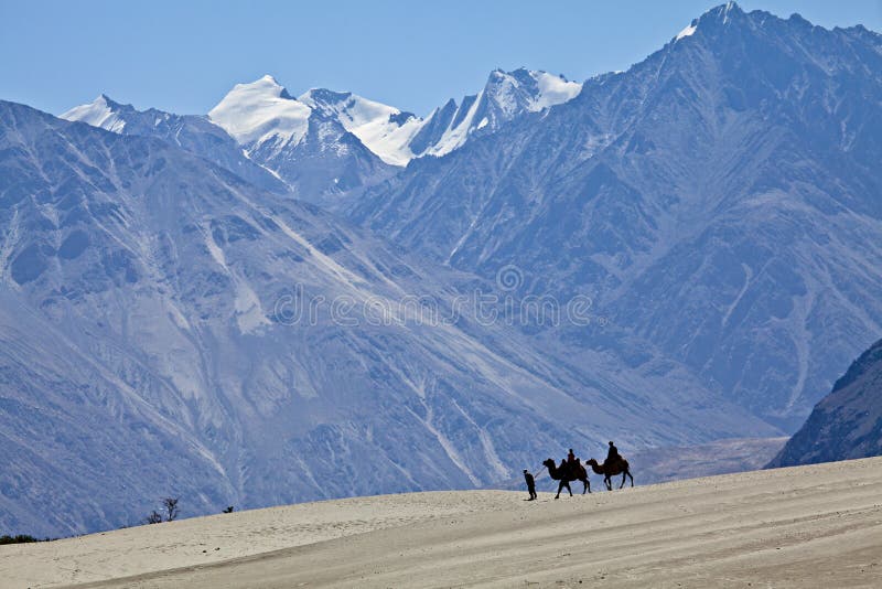 Snow vs sand dune stock photo. Image of landscape, desert - 23390156