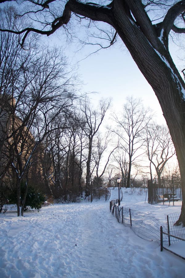 Snow Walkway and Trees in a Park Stock Image - Image of outdoor, nature ...