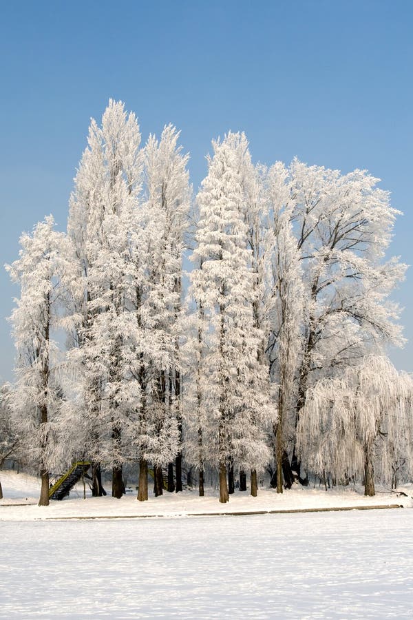 Snow warm stock photo. Image of season, lake, environment - 7469818