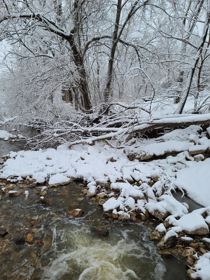 Snow Water Stream stock photo. Image of stream, cold - 239078454