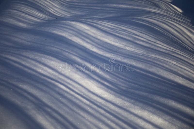 Snow Wave. Shadows on the Snow. Lines on a Wavy Surface Stock Image ...