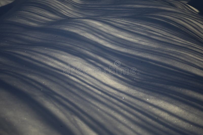 Snow Wave. Shadows on the Snow. Lines on a Wavy Surface Stock Photo ...