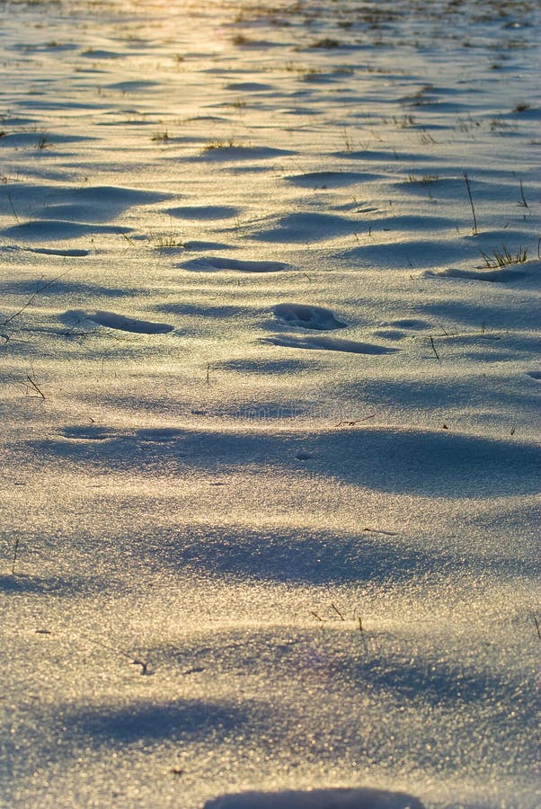 Snow waves stock photo. Image of structure, nature, abstract - 51049106
