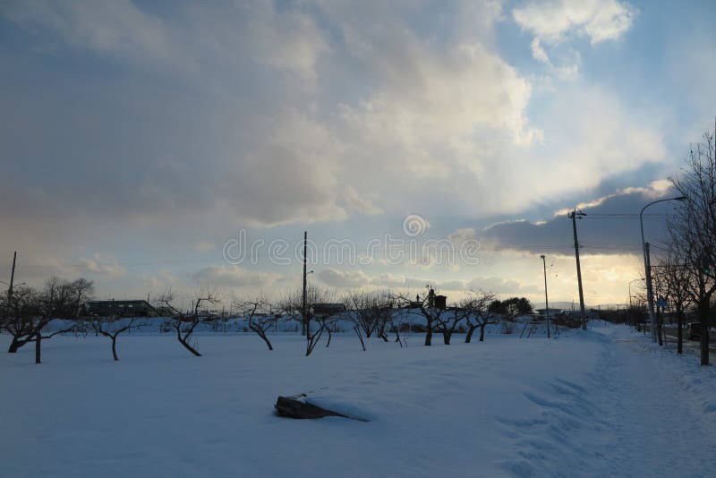 Snow way to Heaven stock image. Image of winter, path - 119436575