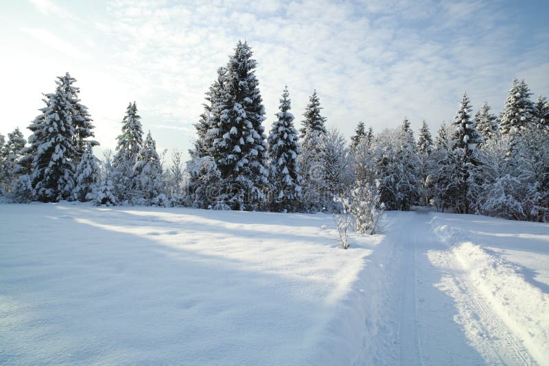 Snow way in winter stock image. Image of landscape, resort - 31589961