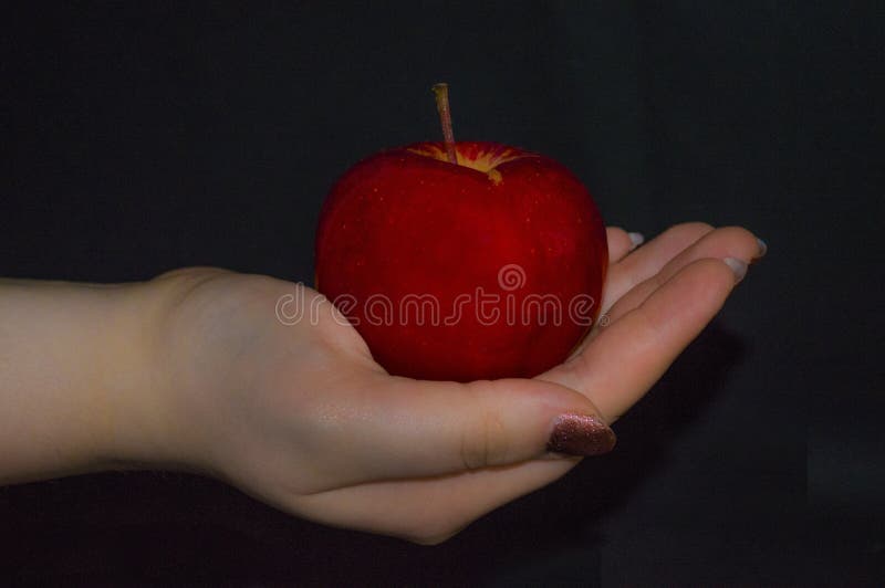 Snow White stock photo. Image of white, apple, snow, held - 88660432
