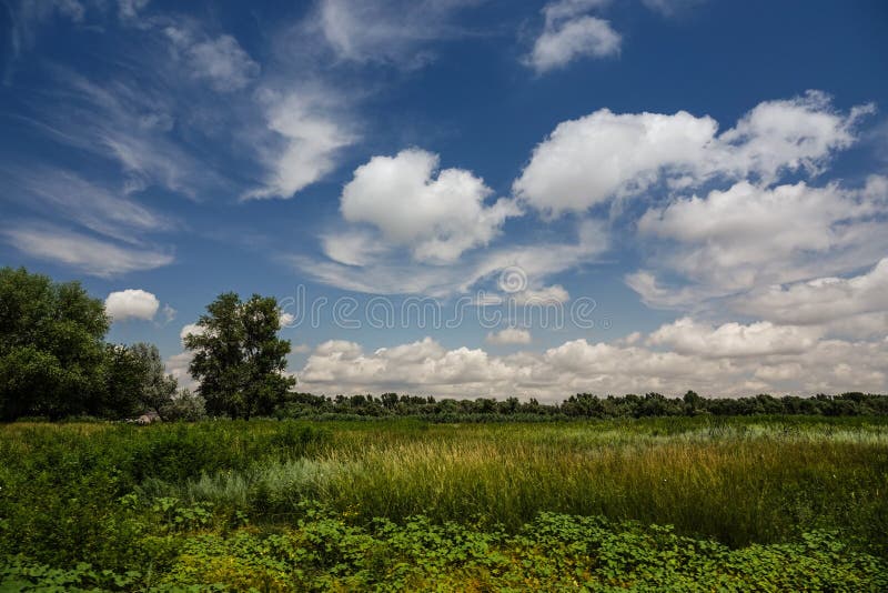 Summer Landscape on the Field with Clouds Stock Photo - Image of bright ...