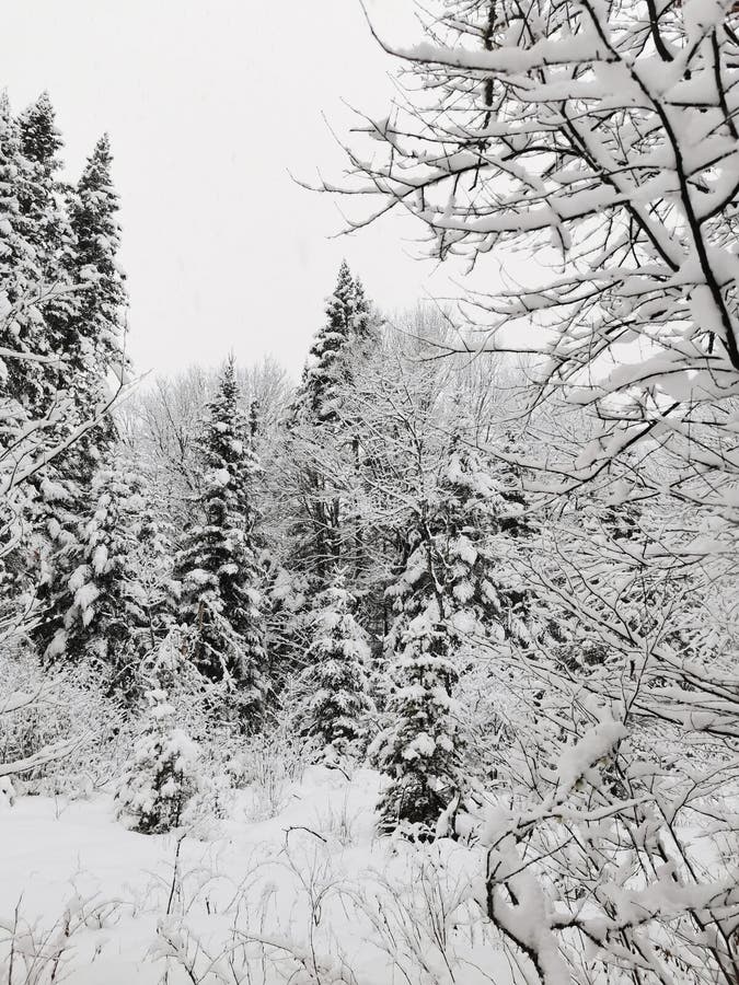 Snow White and Cold stock image. Image of drawing, freezing - 273499355