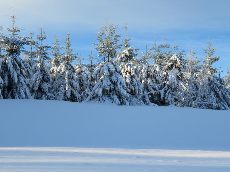 Snow White Cold Winter Beautiful Ice Cream Trees Landscape Stock Photo ...