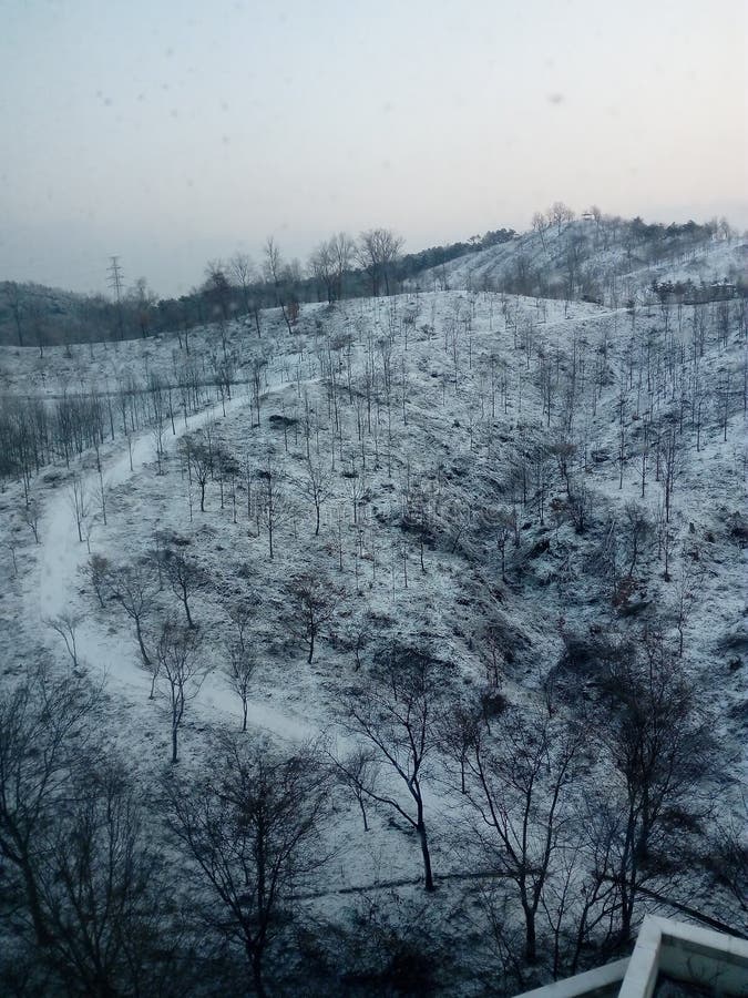 Snow white stock photo. Image of snow, cold, land, white - 100201952