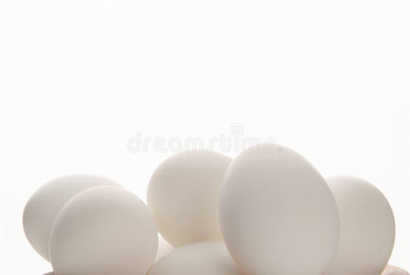 Snow white eggs stock image. Image of detail, conceptual - 5858341