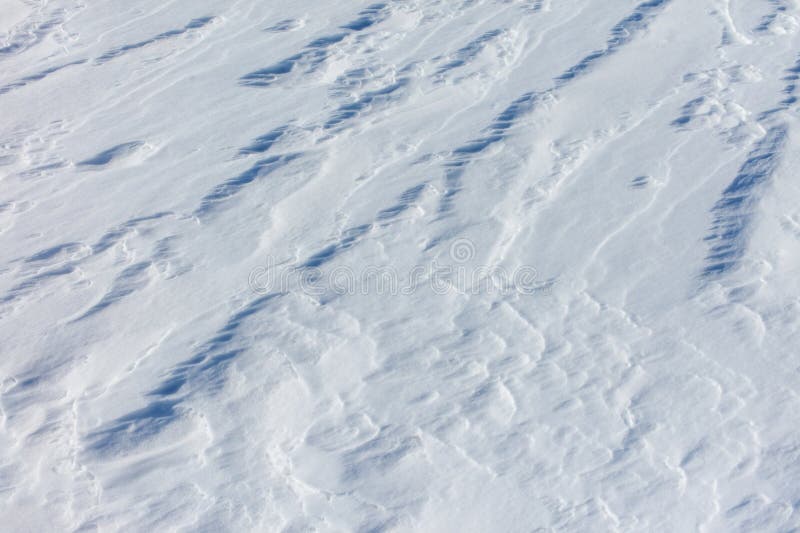 The Snow is White and the Ground is Covered in it Stock Photo - Image ...