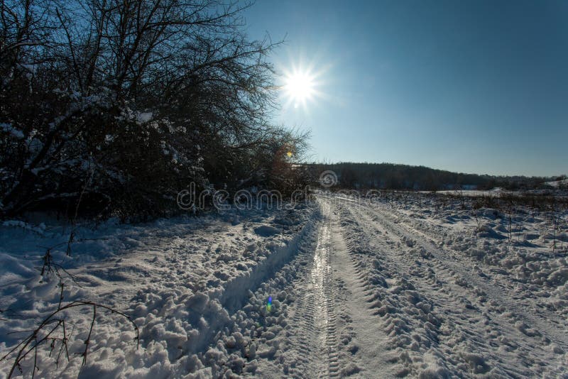 Snow-white Winter Forest Pathways with Deep Sun and Shadows Stock Photo ...