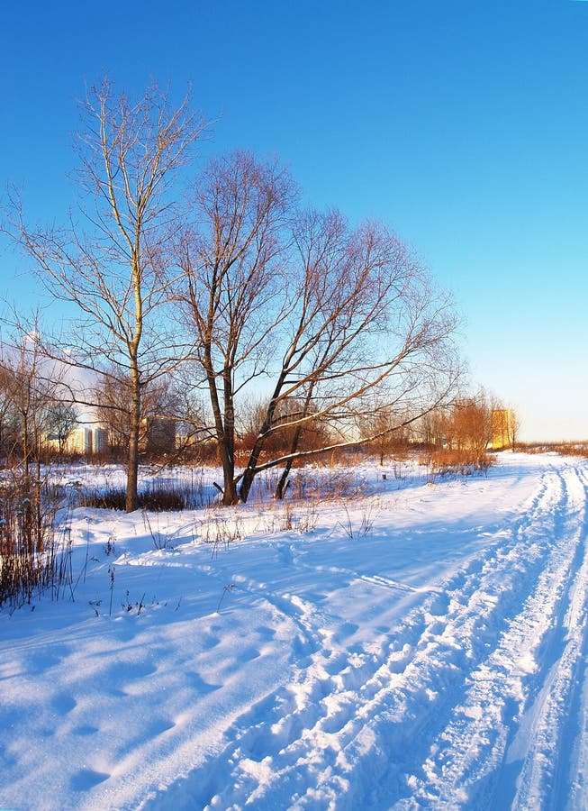 Snow winter stock photo. Image of landscape, park, high - 3124786