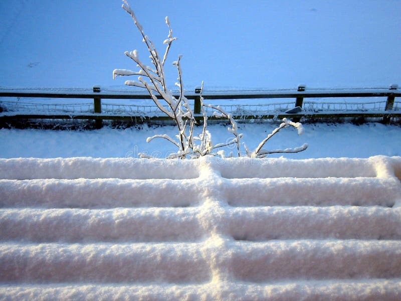 Snow, Winter, December, Christmas, Cold Stock Photo - Image of peaceful ...