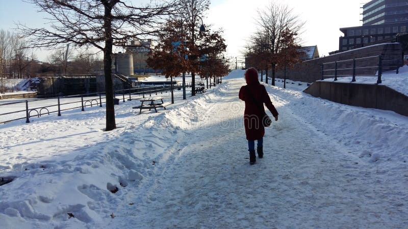 Winter, Snow, Freezing, Fun Picture. Image: 91631469