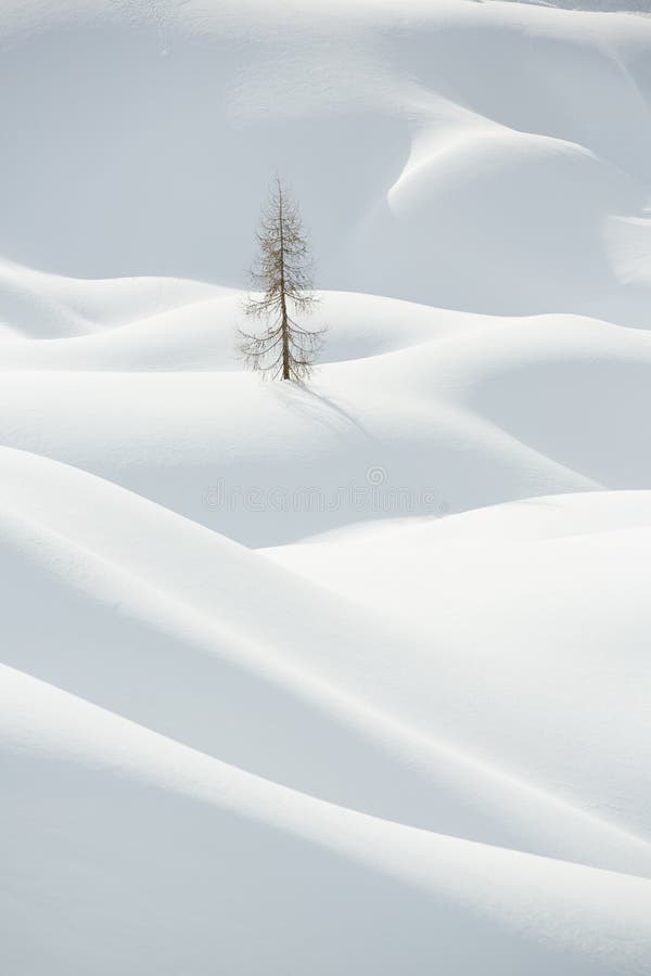Snow, Winter Mountain Landscape, Tree Alone Stock Image - Image of ...