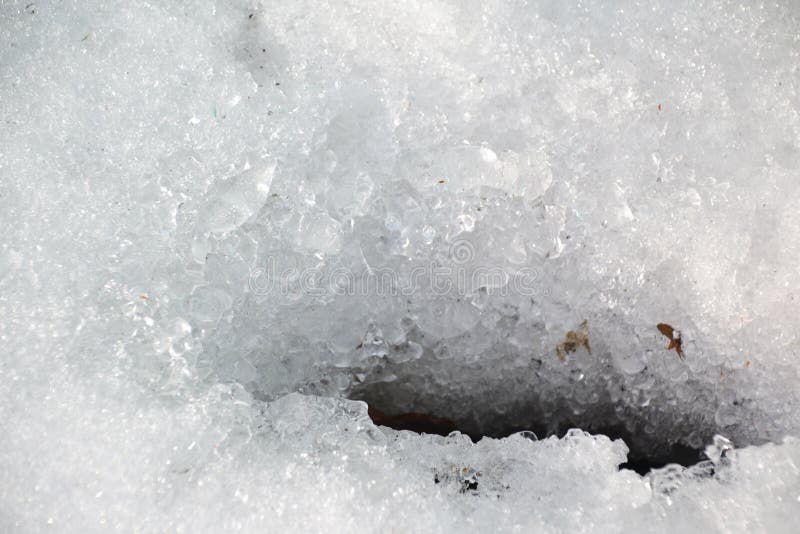 Snow, Winter, Texture, White, Cold, Ice Stock Photo - Image of garden ...