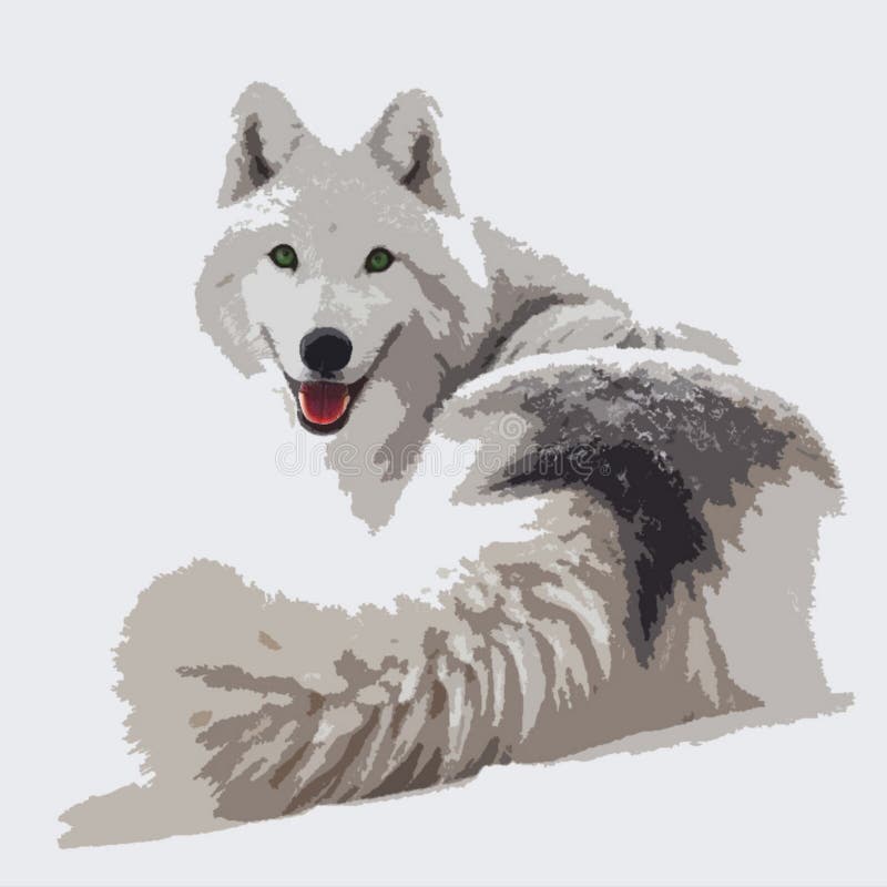 Snow wolf looking back stock illustration. Illustration of looking ...